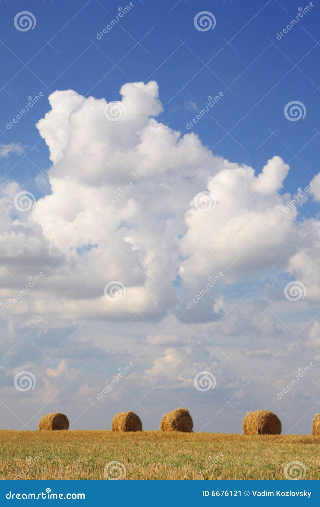 Hay bales under blue sky stock image. Image of summer - 6676121