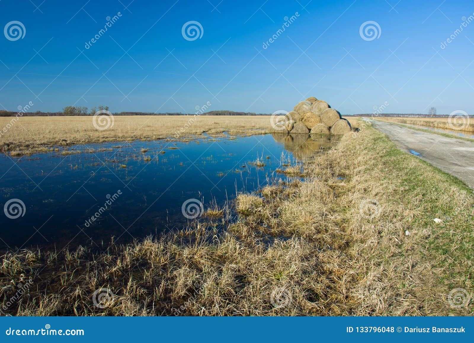 Hay Bales in Water on the Field Stock Photo - Image of haystack, grass ...