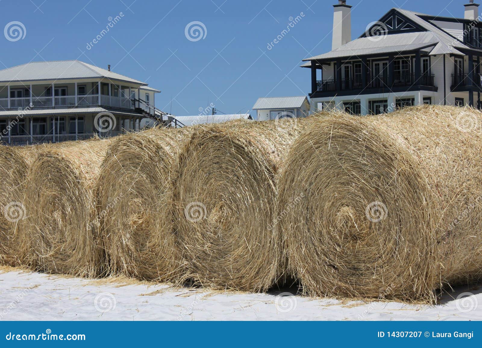 Hay Bales on White Sand Beach for Oil Cleanup Editorial Photography ...