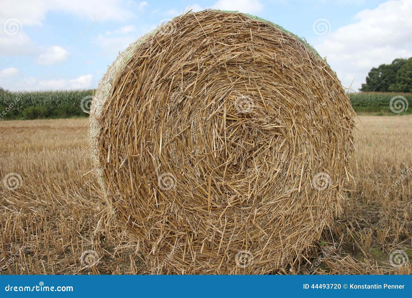Hay Ball / Straw Ball with a Sky Stock Photo - Image of round, farm ...