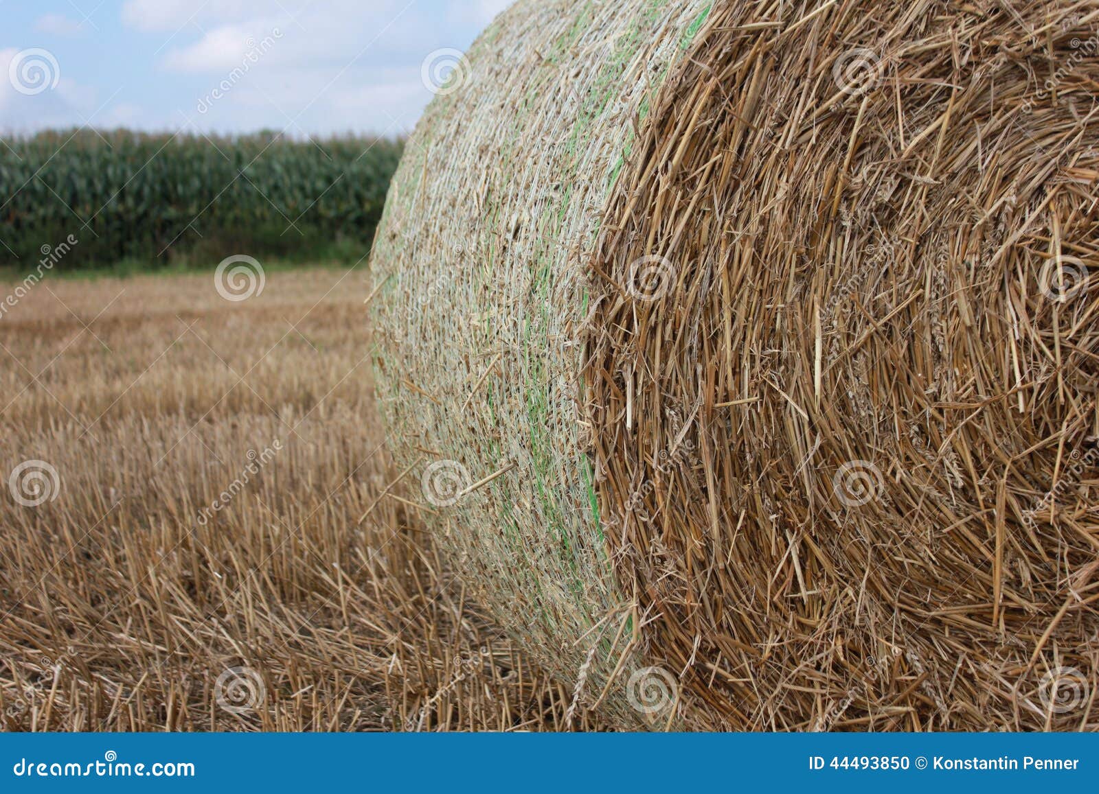 Hay Ball / Straw Ball with a Sky Stock Photo - Image of blue, straw ...