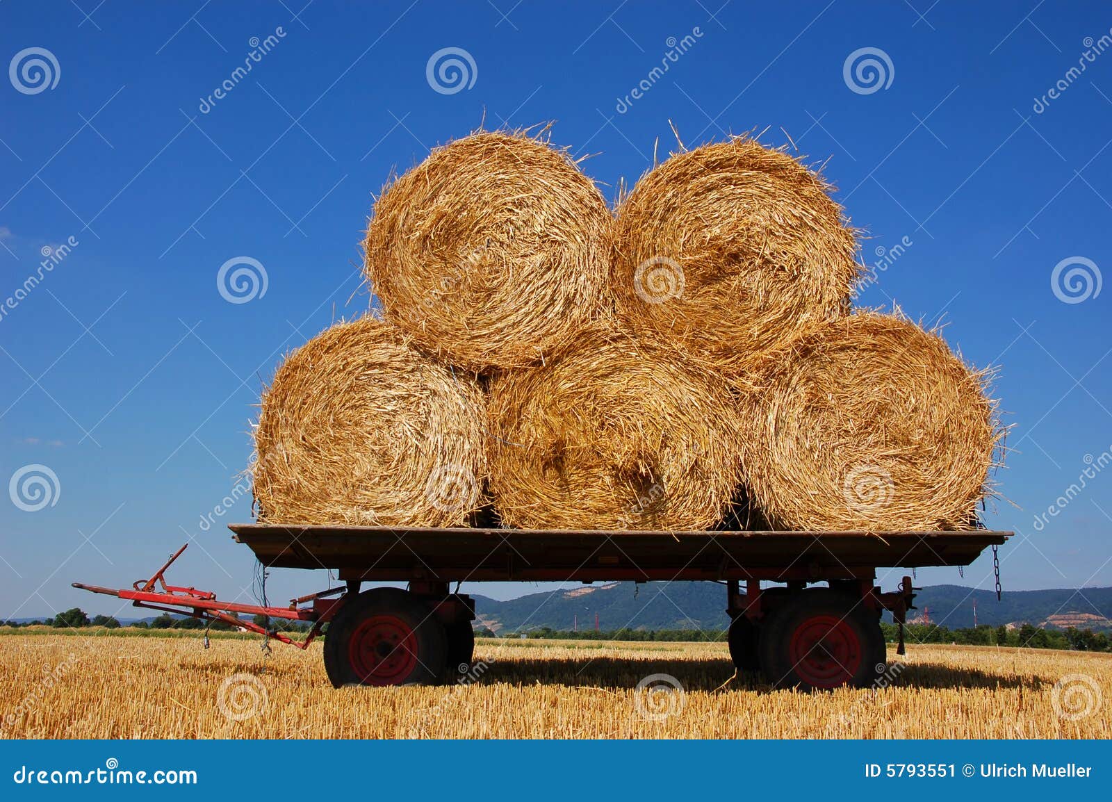 Hay balls stock image. Image of countryside, straw, farmer - 5793551