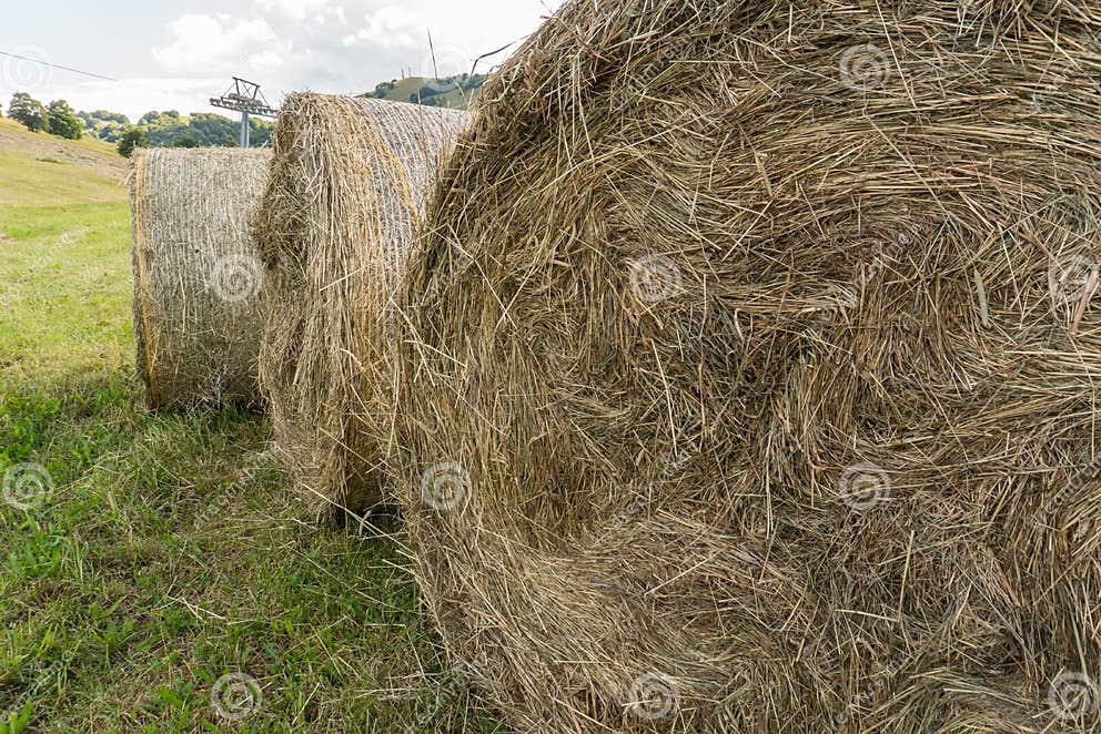 Hay Balls stock image. Image of scenery, agriculture - 96769069