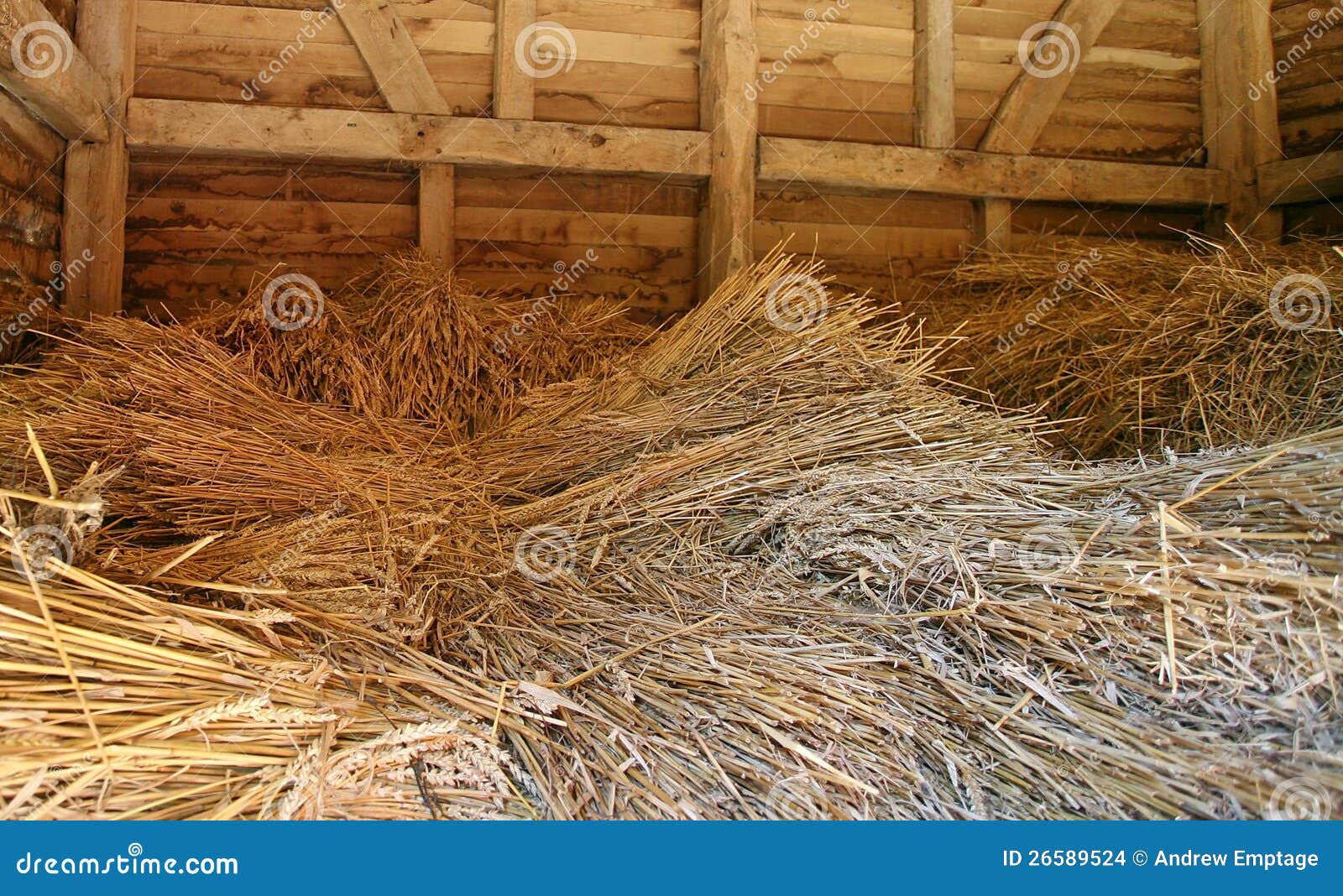 Hay Barn stock photo. Image of nourishing, wholesome - 26589524