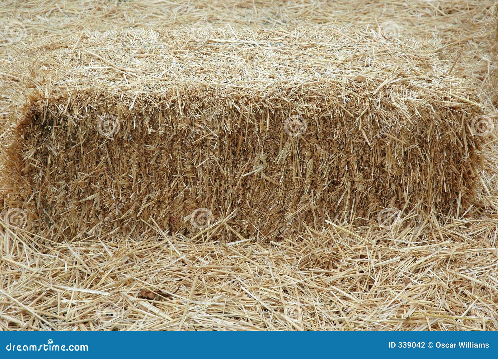 Hay Barn Farm stock photo. Image of ranch, country, pastoral - 339042