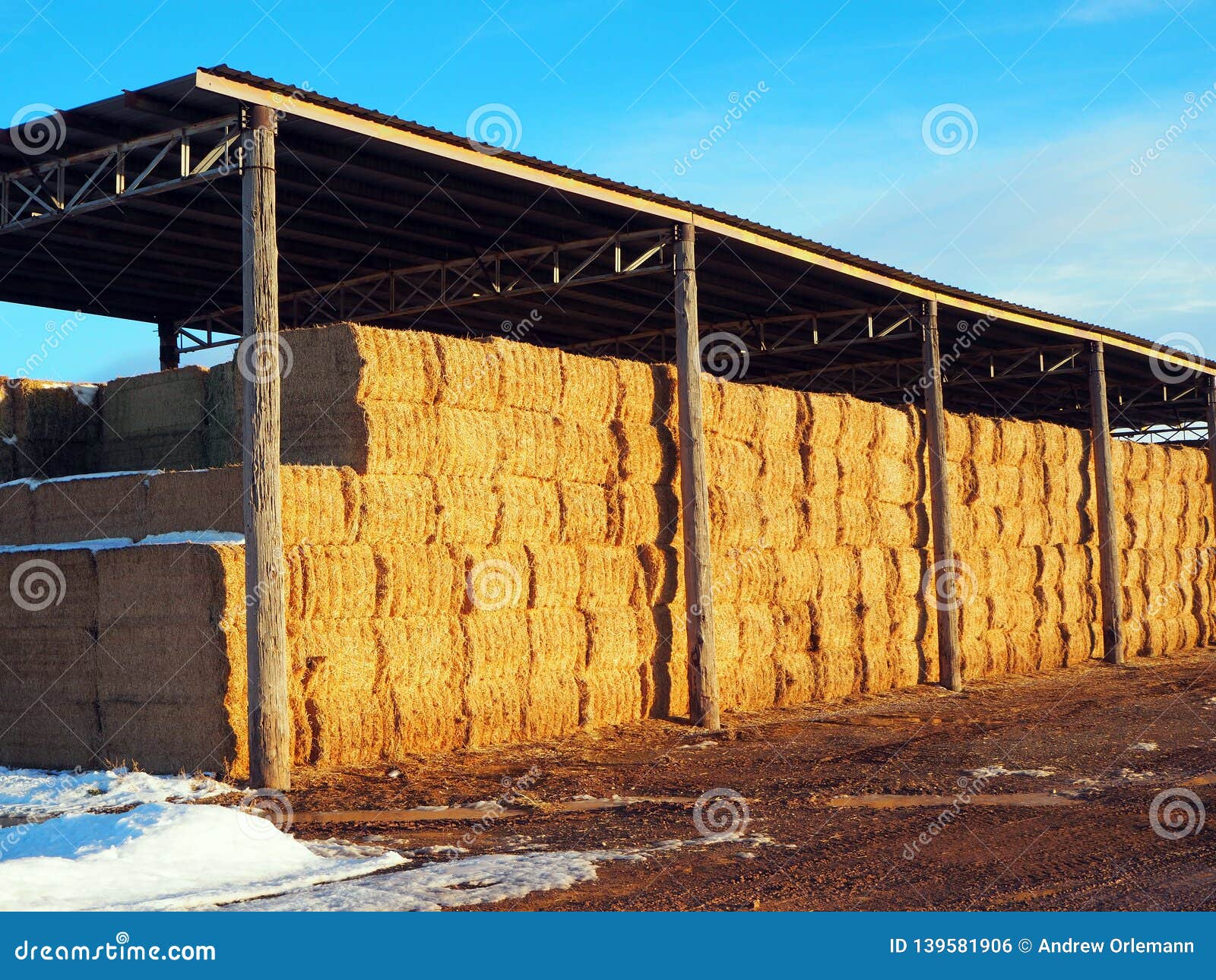 Hay Barn in Winter stock photo. Image of farming, barn - 139581906