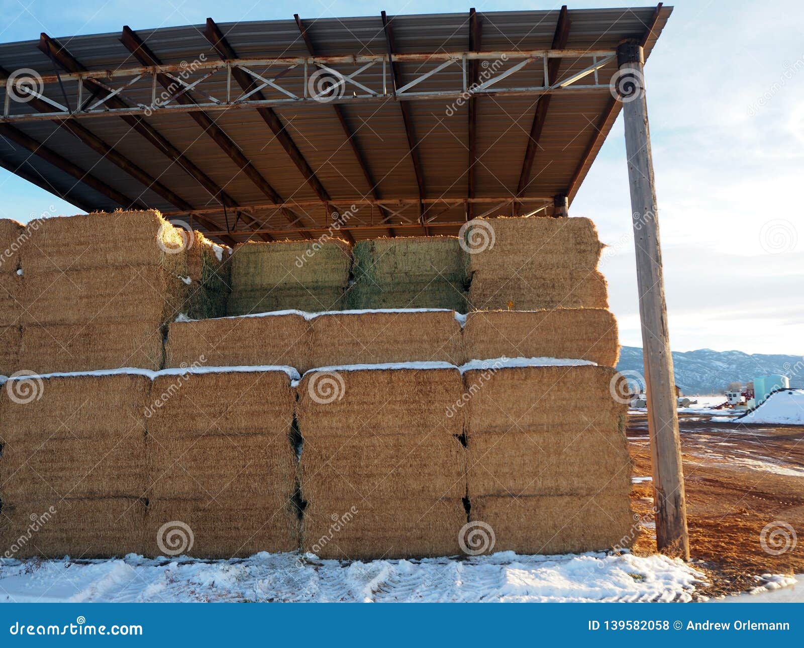 Hay Barn in Winter stock photo. Image of stacked, alfalfa - 139582058
