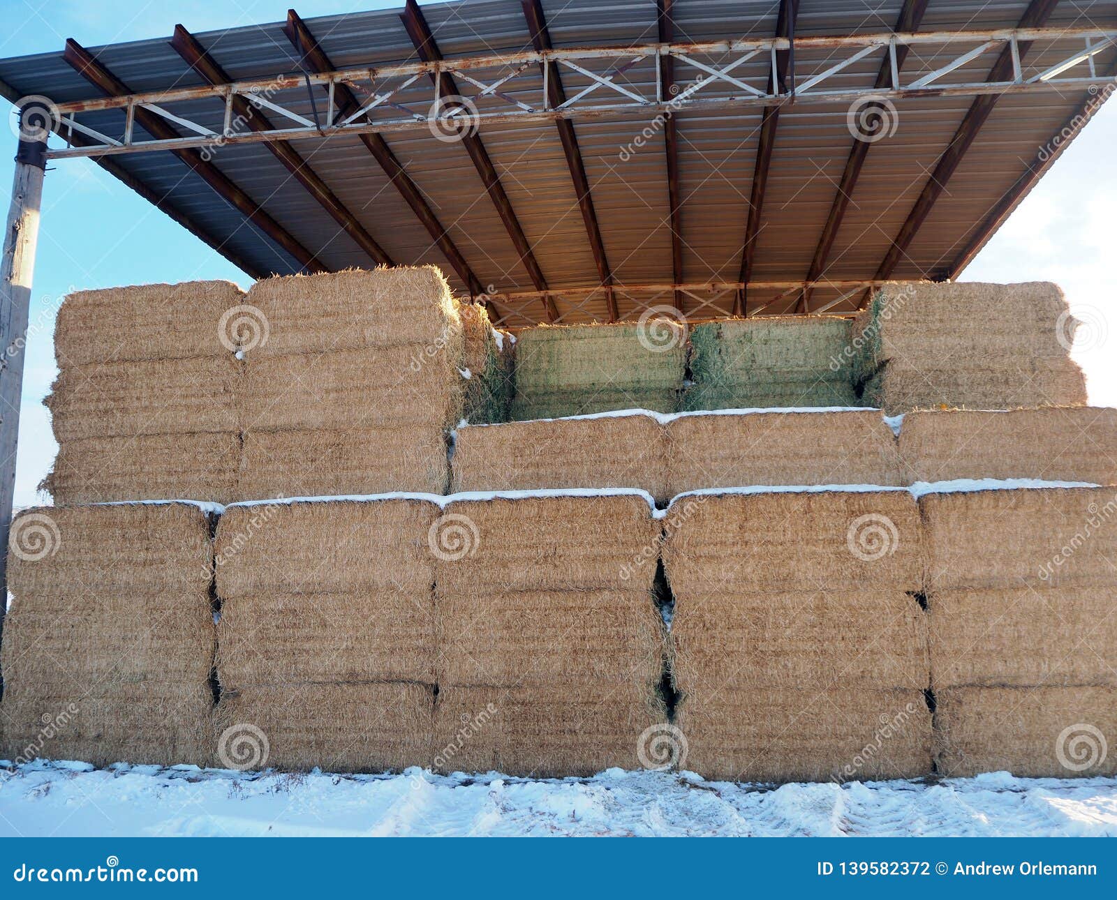 Hay Barn in Winter stock photo. Image of alfalfa, stack - 139582372