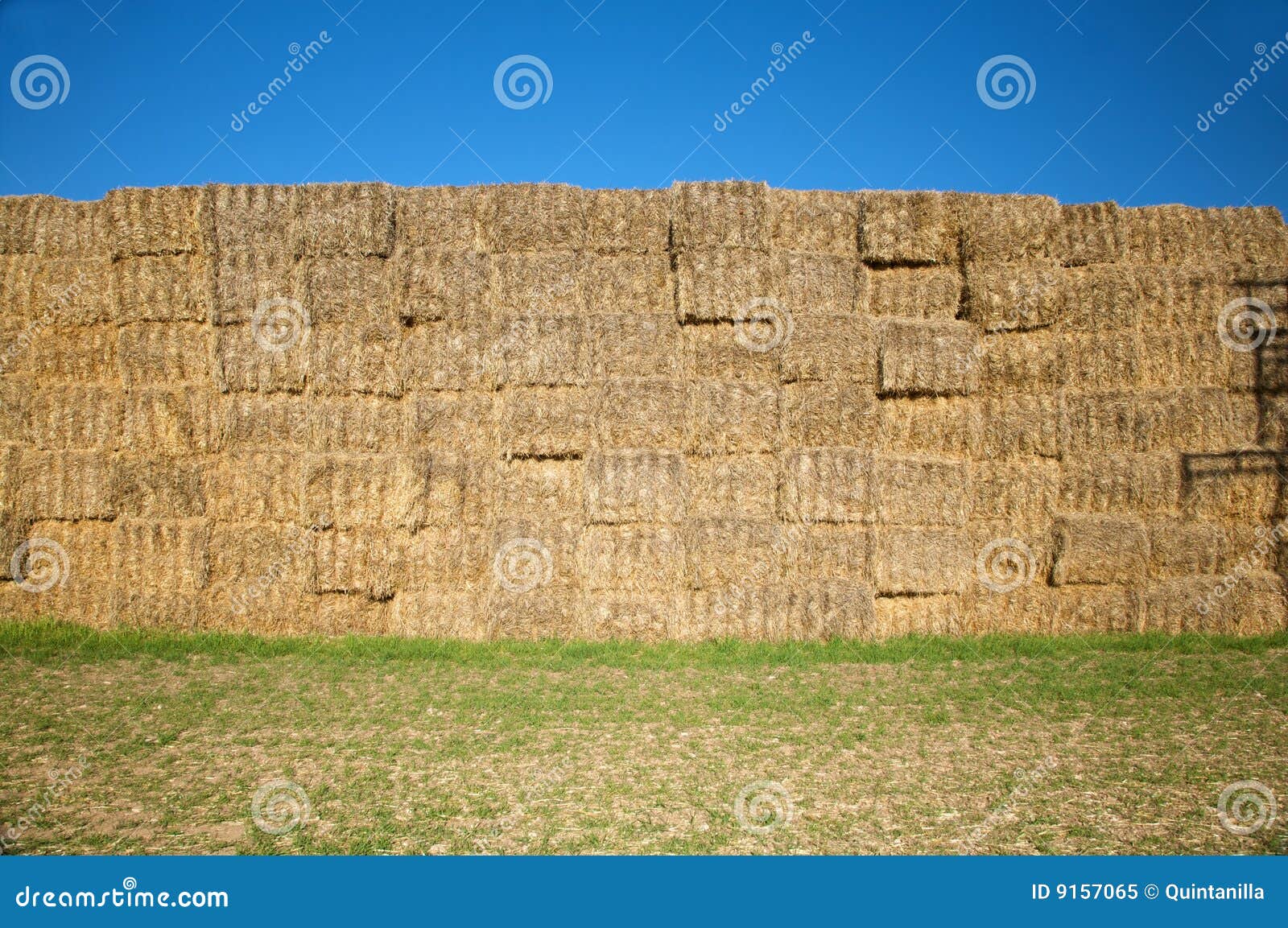 Hay barrier stock image. Image of barrier, plant, nature - 9157065
