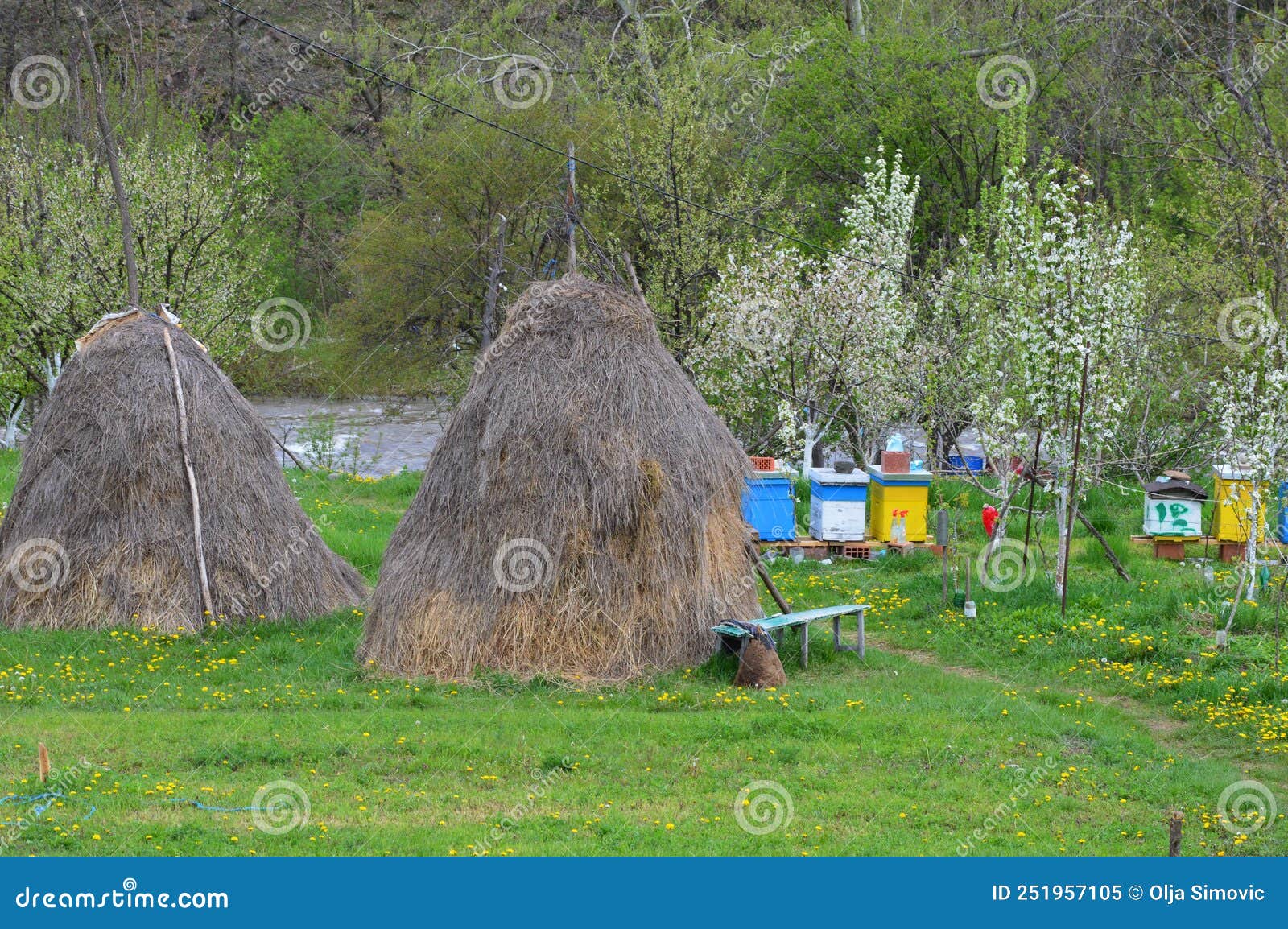 Hay and Beehives of Various Colors with Bees Stock Image - Image of ...
