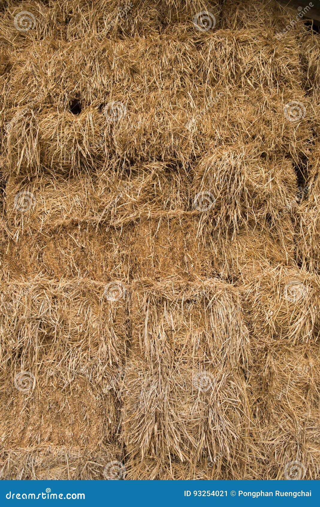 Hay blocks background stock image. Image of fodder, pile - 93254021