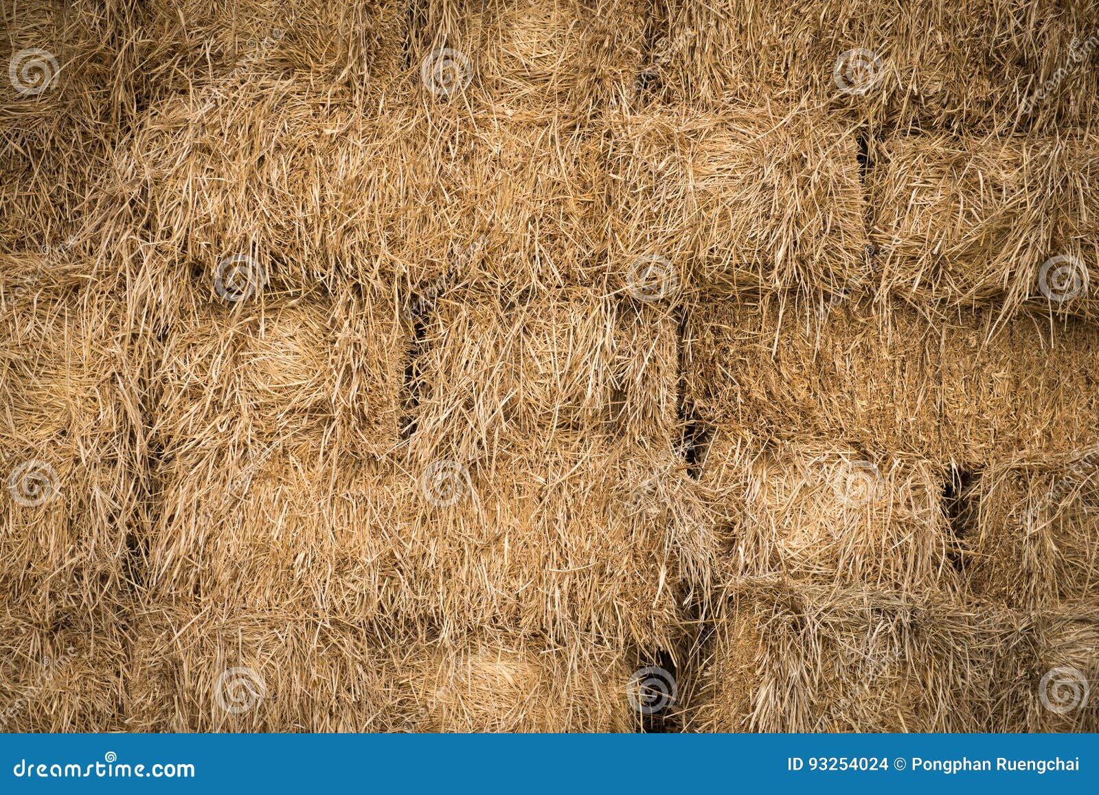 Hay blocks background stock photo. Image of golden, blocks - 93254024