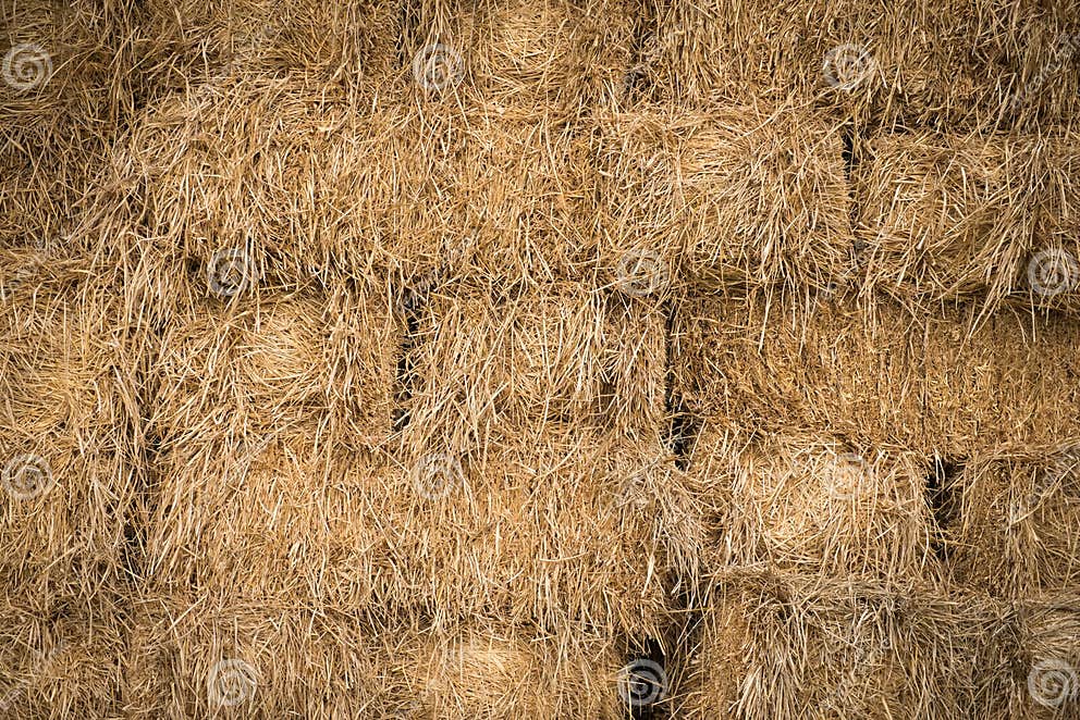 Hay blocks background stock photo. Image of golden, blocks - 93254024
