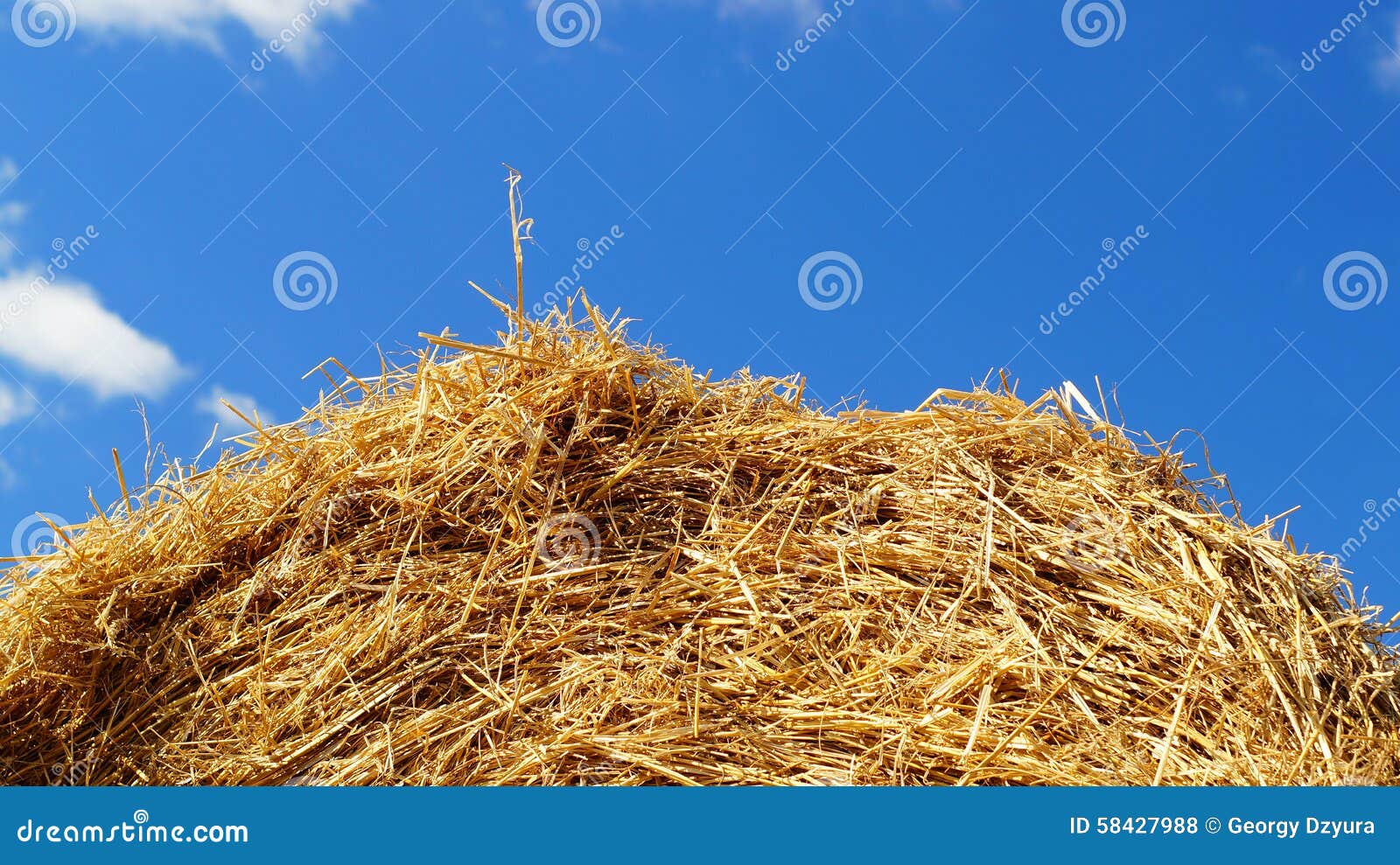 Hay with Blue Sky Background Stock Photo - Image of yellow, land: 58427988