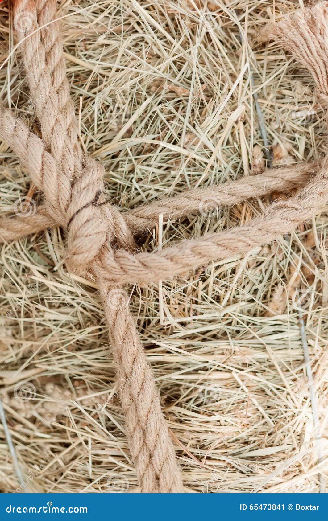 Hay stock image. Image of country, farm, packing, element - 65473841