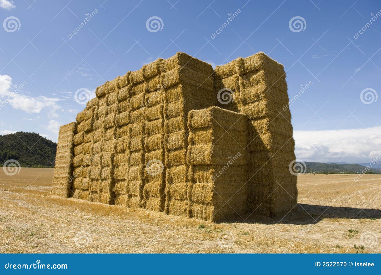 Hay bundles stock photo. Image of bloc, agriculture, dried - 2522570