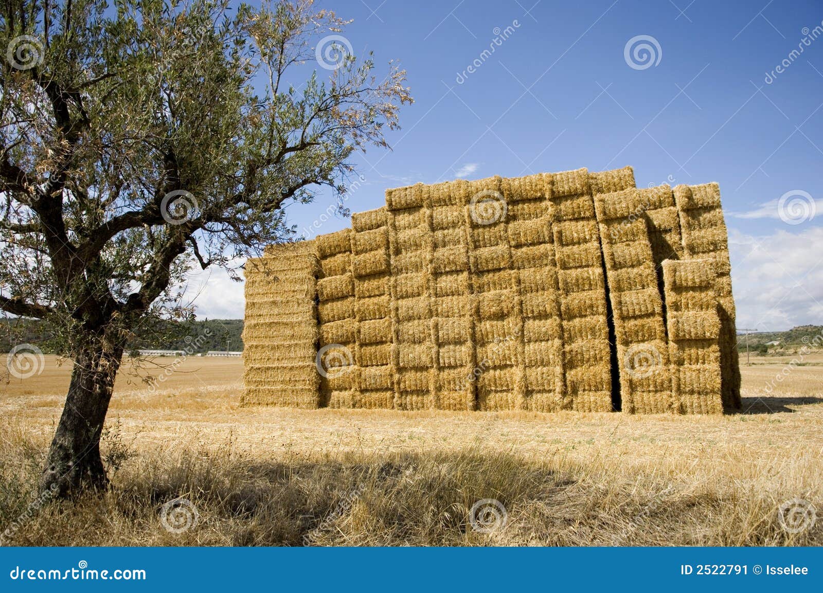 Hay bundles stock image. Image of yellow, bloc, dryness - 2522791