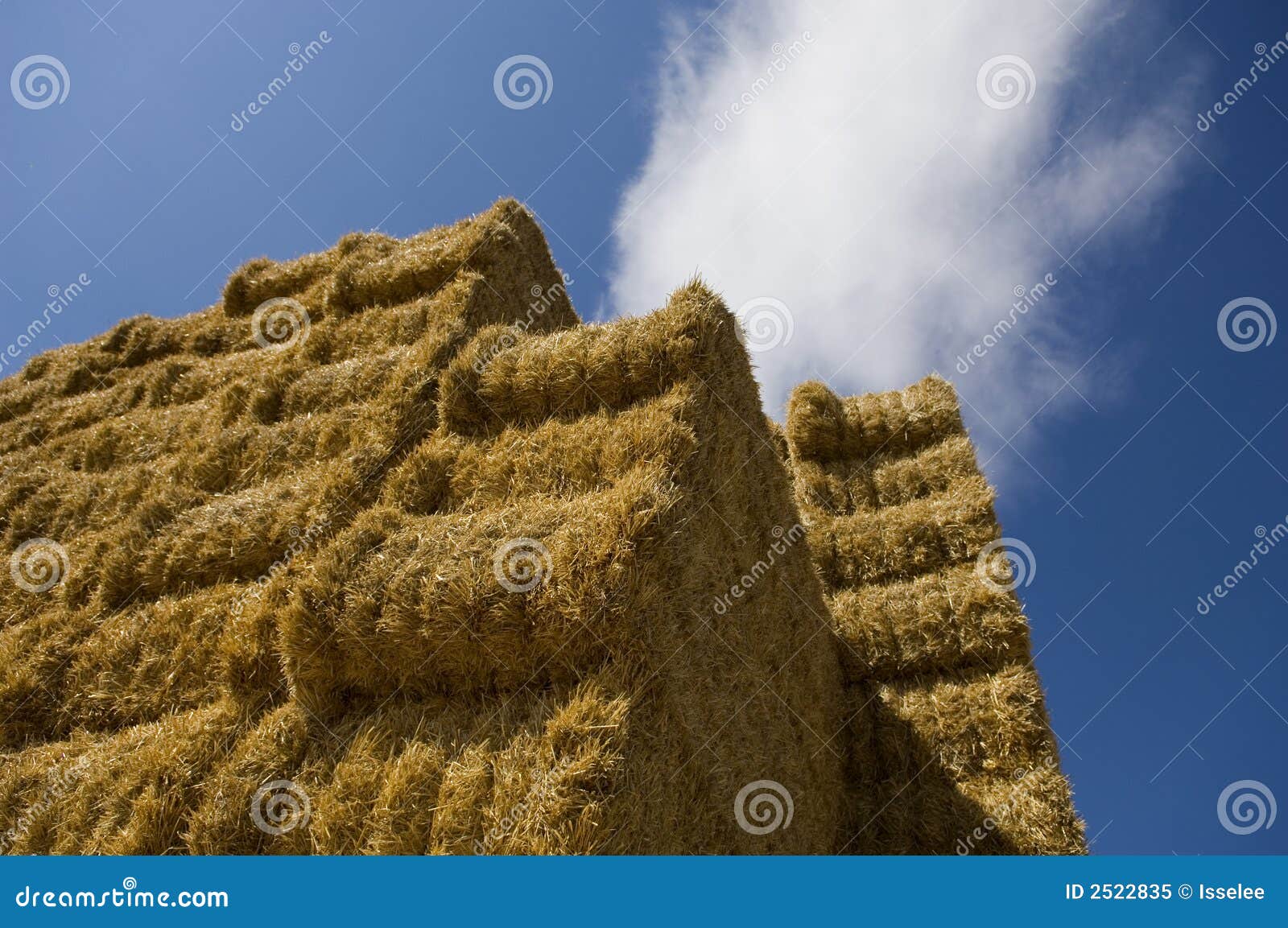 Hay bundles stock image. Image of crop, stacked, deserted - 2522835