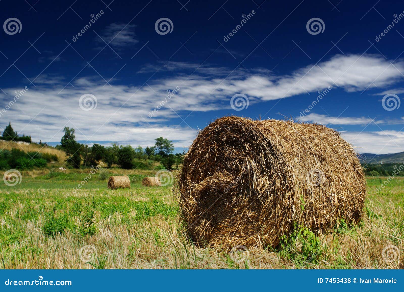 Hay bundles stock photo. Image of grass, bundle, countryside - 7453438