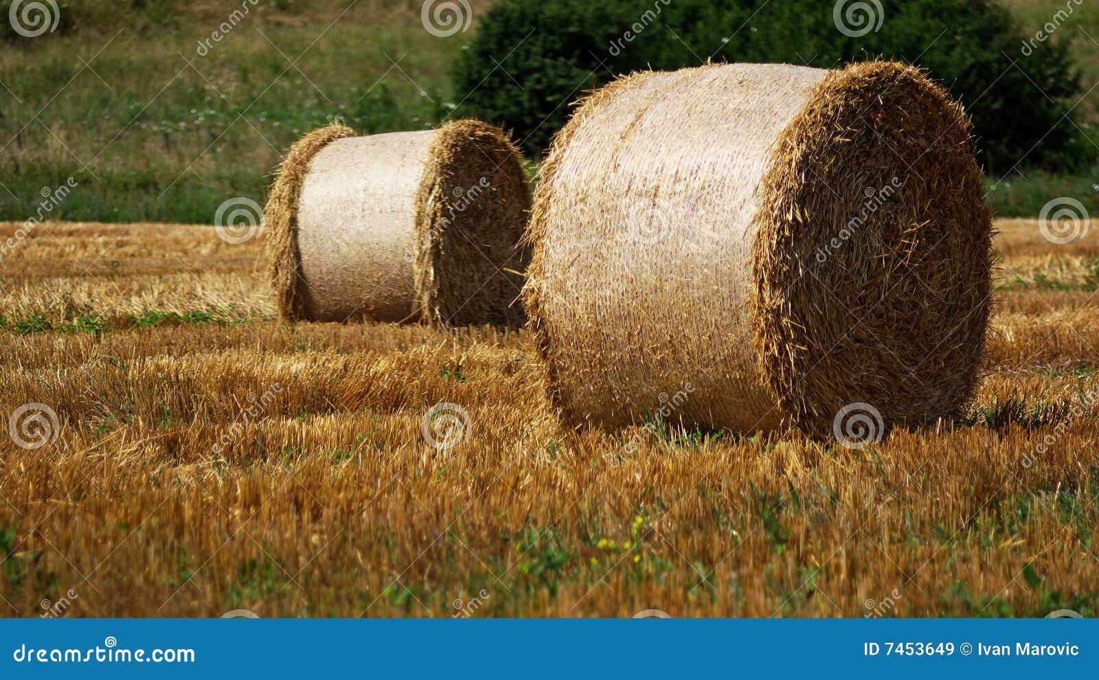 Hay bundles stock image. Image of restful, meadow, grass - 7453649