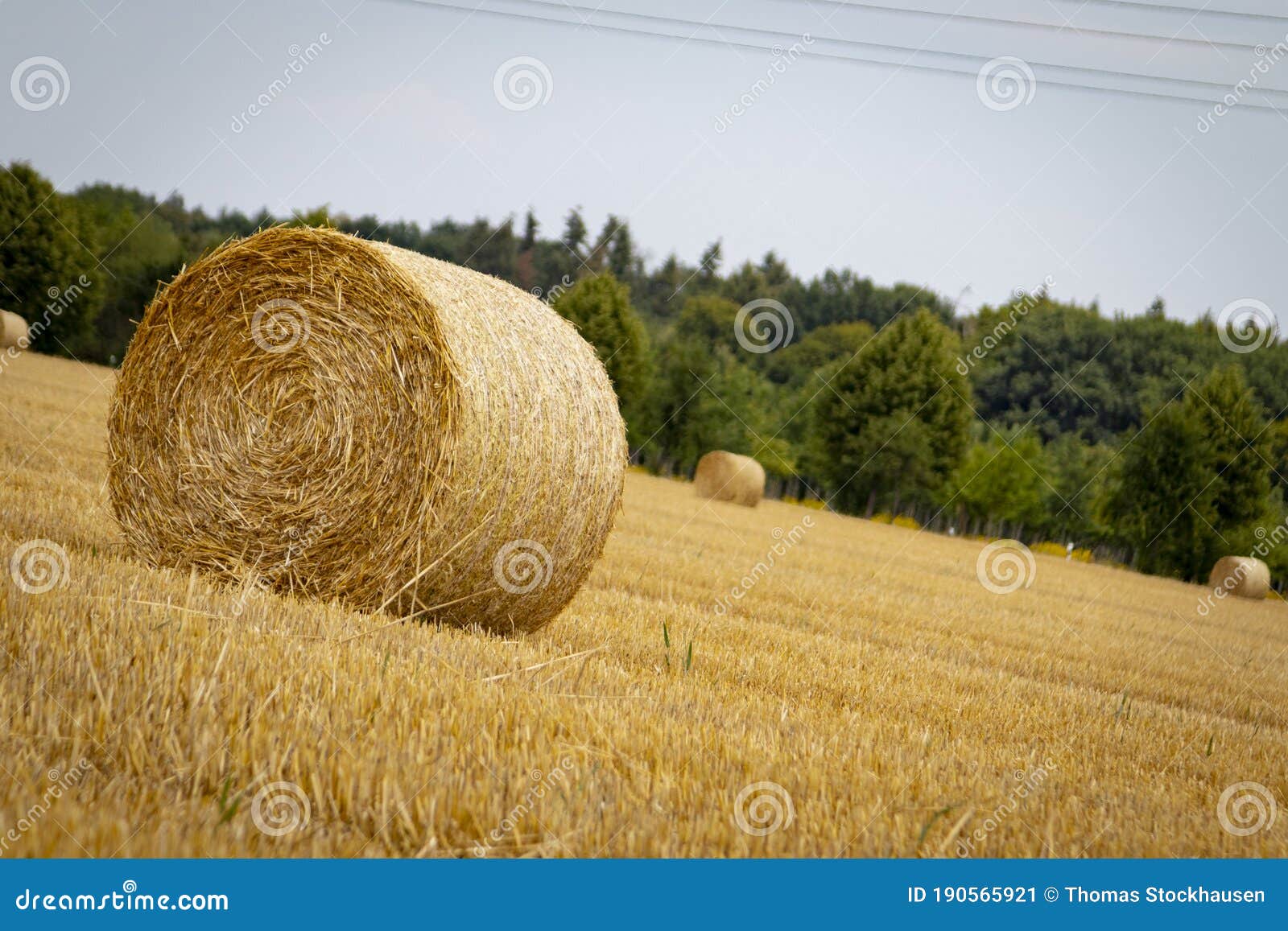 Hay Bundles on a Harvested Field Stock Image - Image of bale, harvest ...