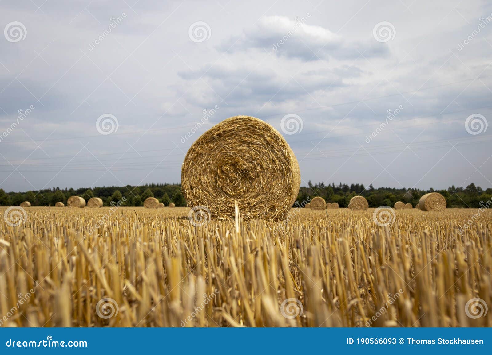 Hay Bundles on a Harvested Field Stock Image - Image of haystack, land ...