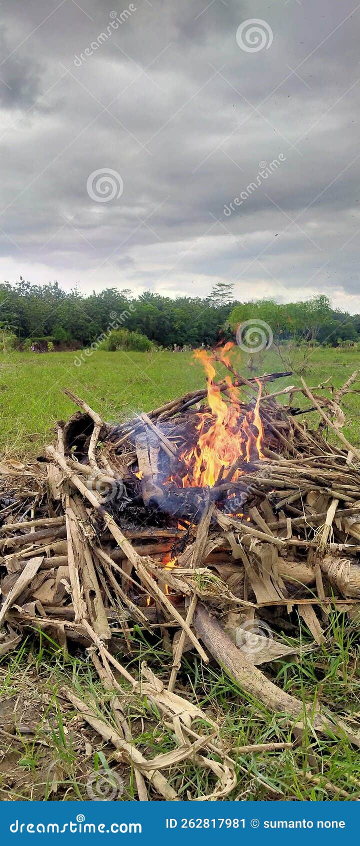 Hay burning in the garden stock image. Image of burning - 262817981