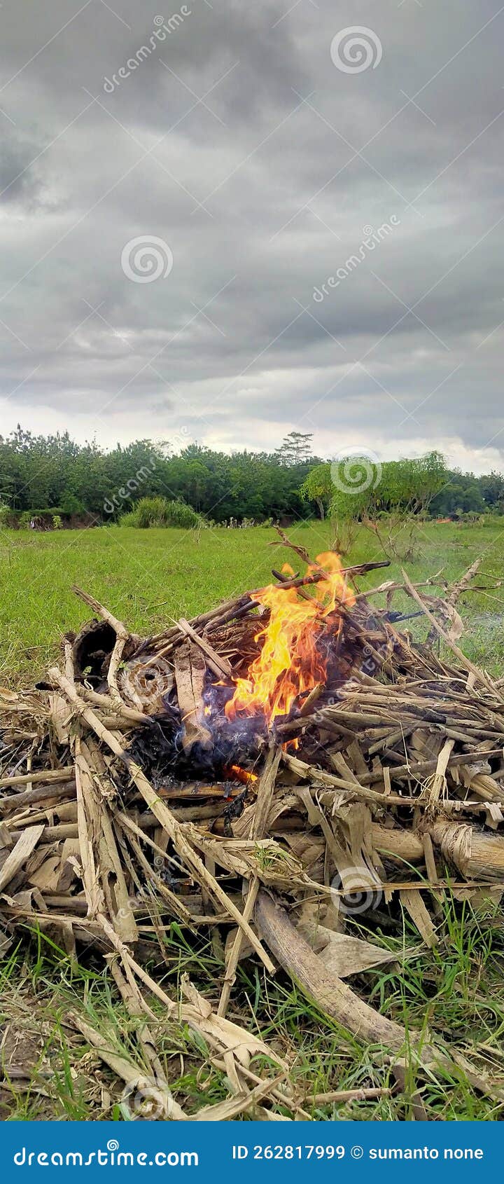 Hay burning in the garden stock image. Image of soil - 262817999