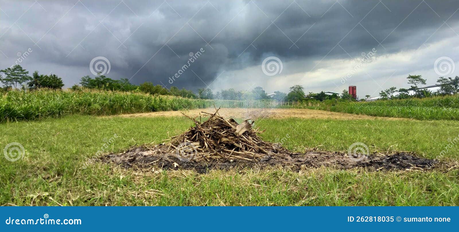 Hay burning in the garden stock image. Image of landscape - 262818035
