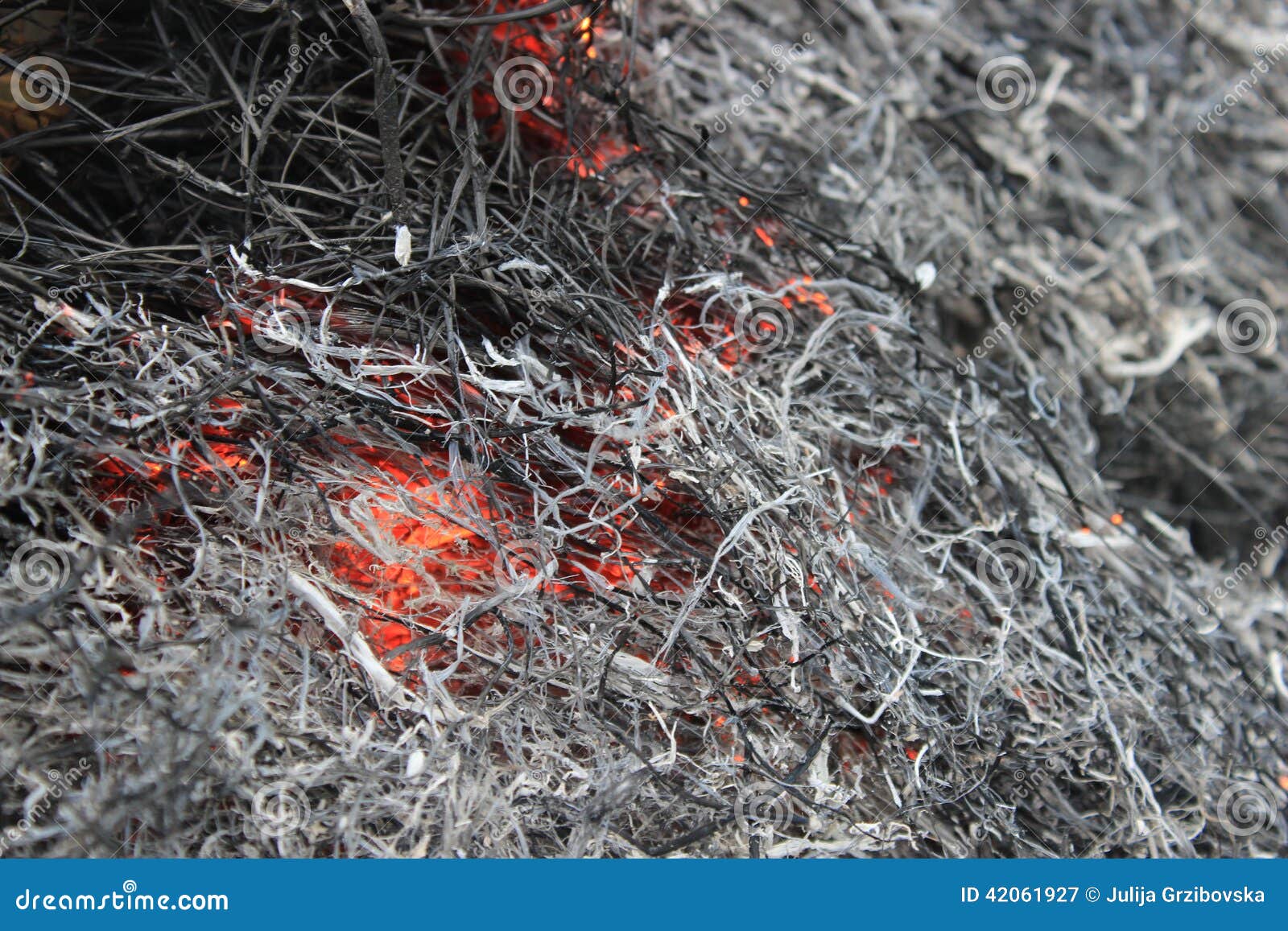 Hay burning stock image. Image of blaze, flame, nature - 42061927