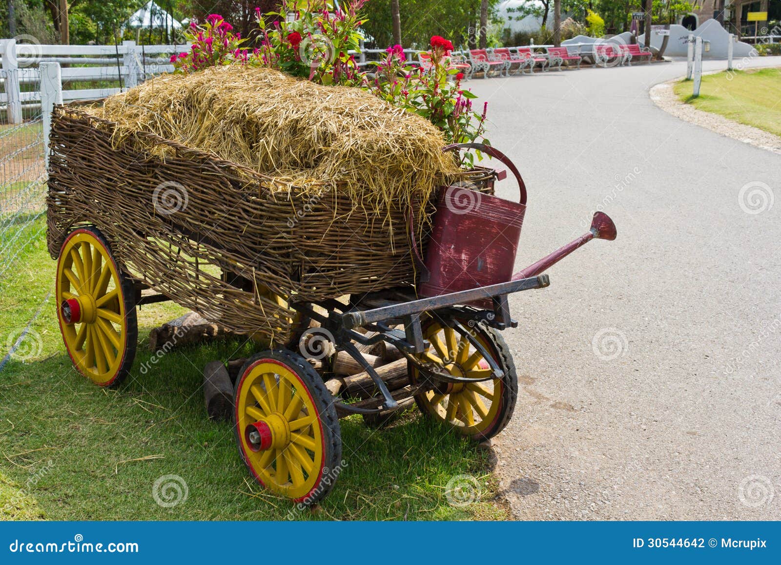 Hay cart stock photo. Image of flower, road, outdoor - 30544642