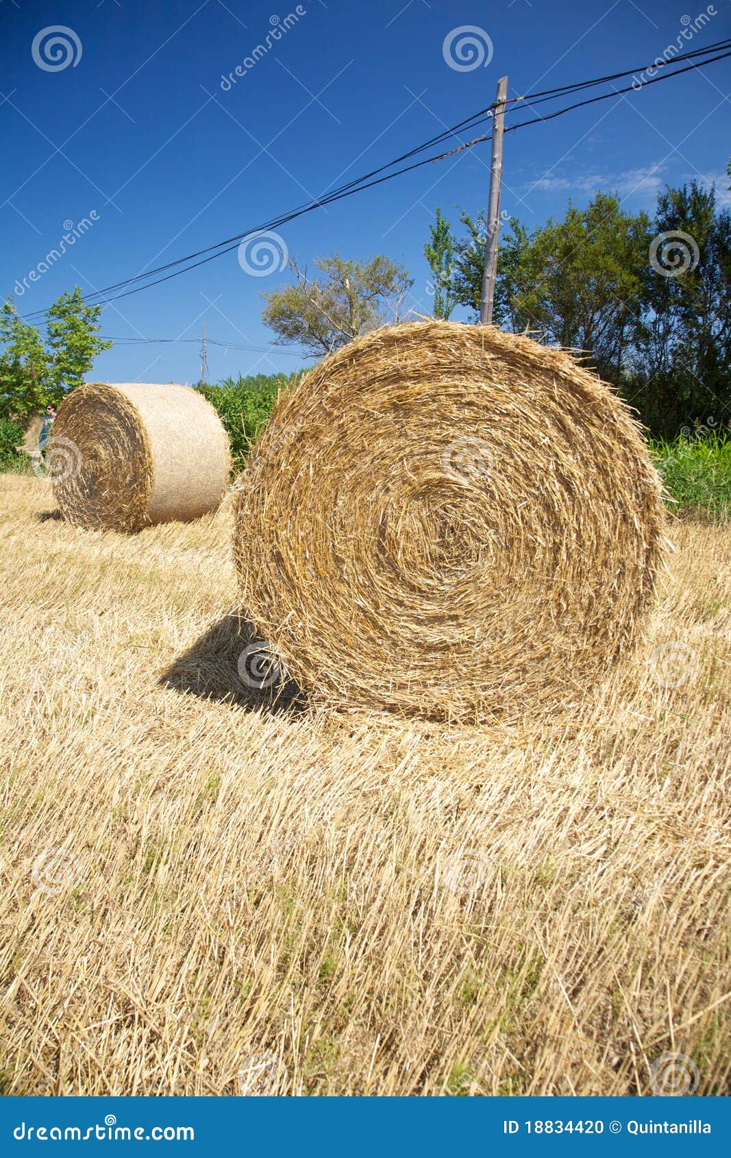 Hay circle stock photo. Image of europe, catalonia, circle - 18834420