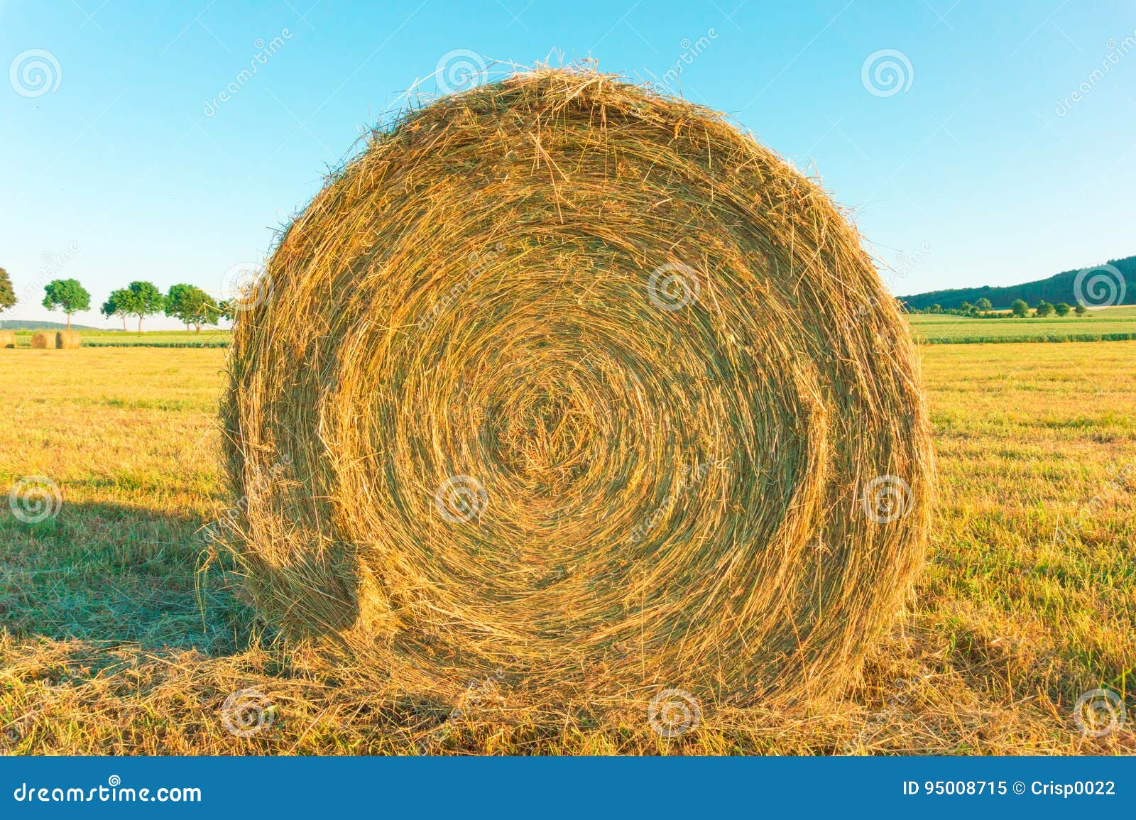 Hay circles on the field stock image. Image of food, crop - 95008715