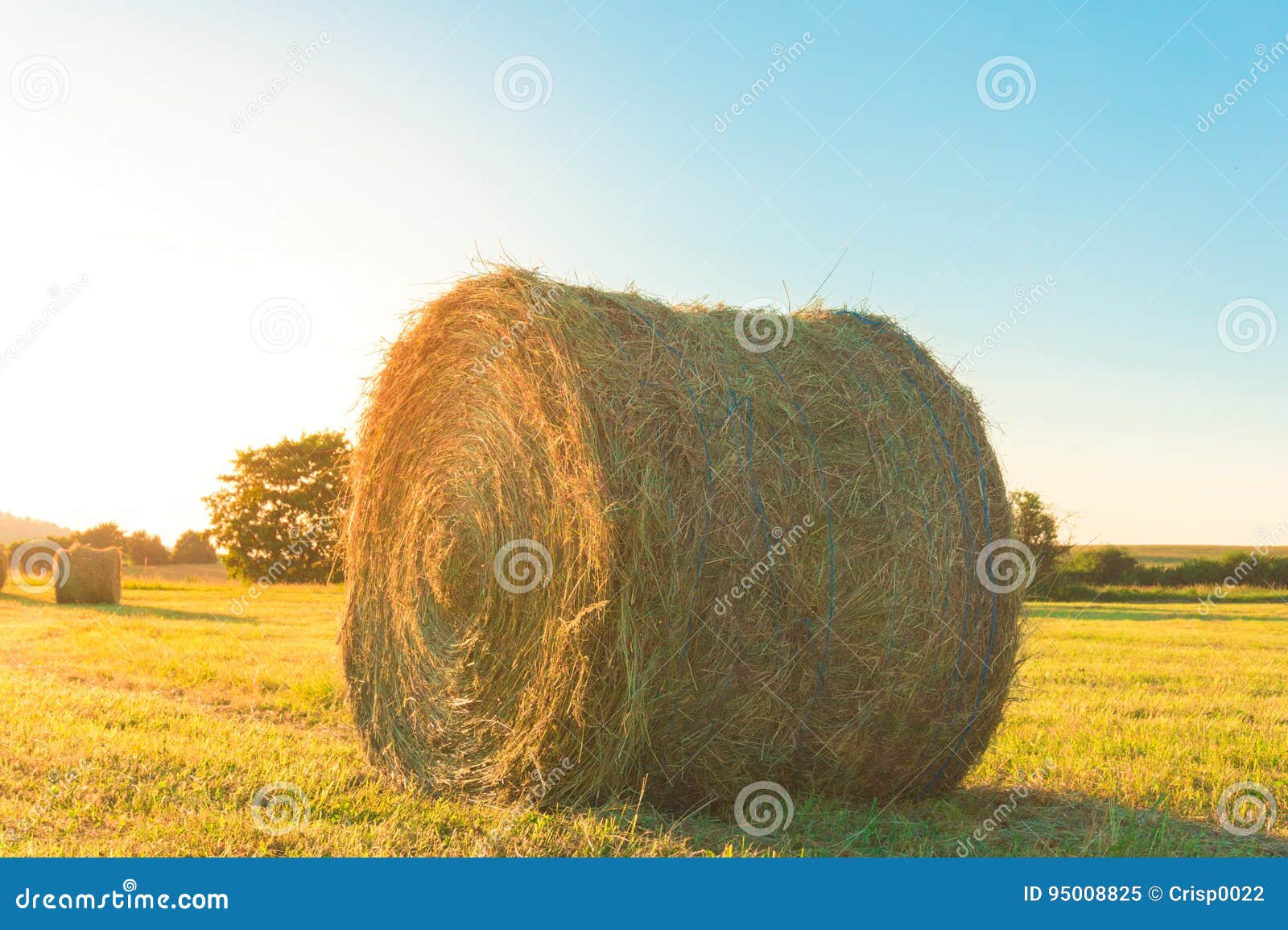 Hay circles on the field stock image. Image of harvesting - 95008825