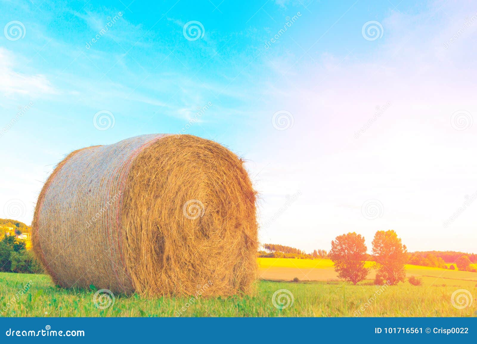 Hay circles stock image. Image of food, circles, bale - 101716561