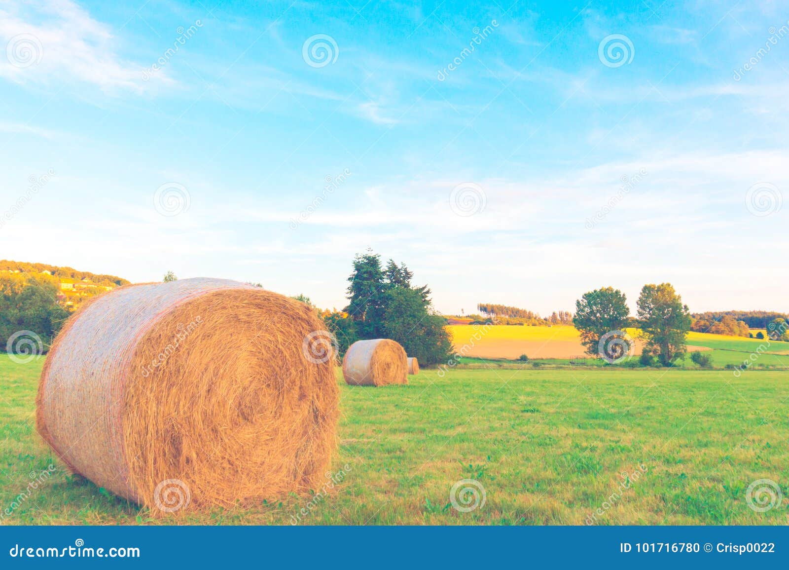 Hay circles stock photo. Image of circles, countryside - 101716780