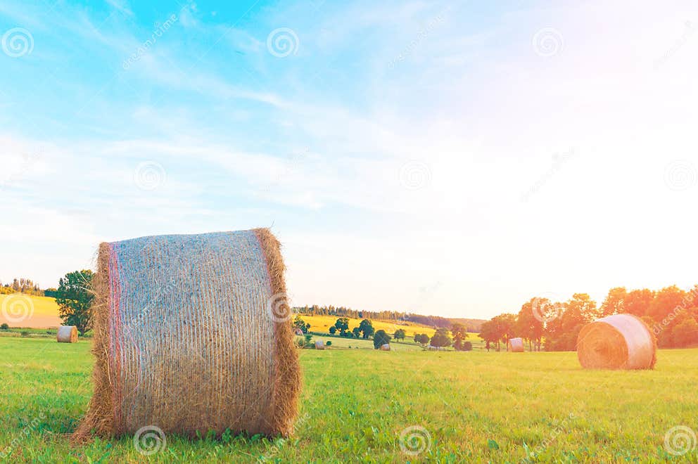 Hay circles stock image. Image of countryside, farmland - 101717187