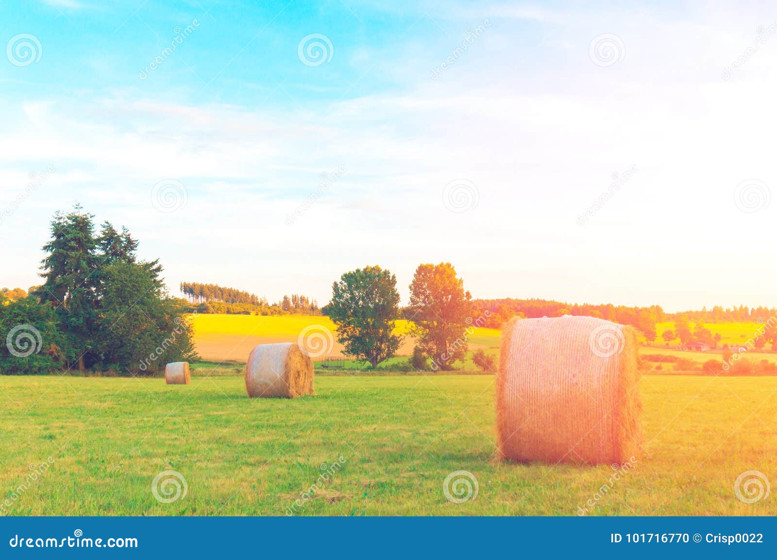 Hay circles stock photo. Image of land, farm, blue, grow - 101716770