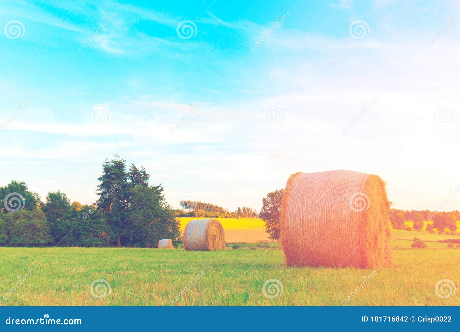 Hay circles stock photo. Image of field, food, circles - 101716842