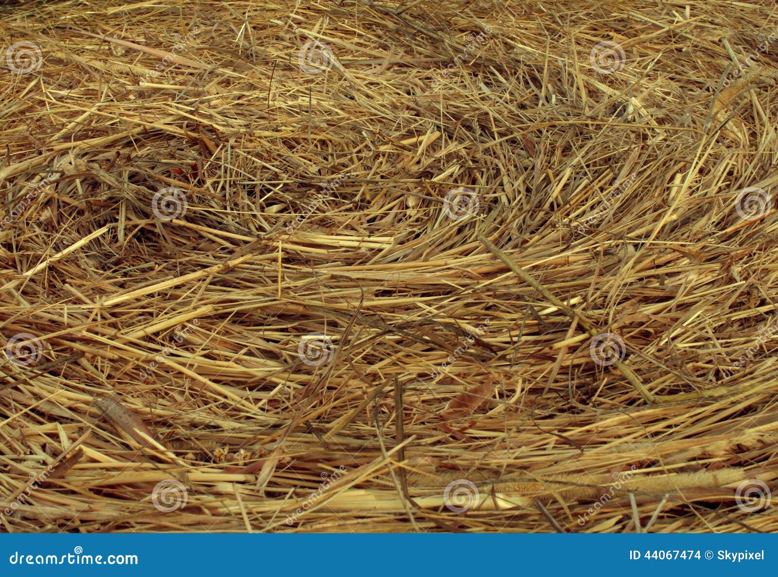Hay Circular Texture fotografia stock. Immagine di vista - 44067474