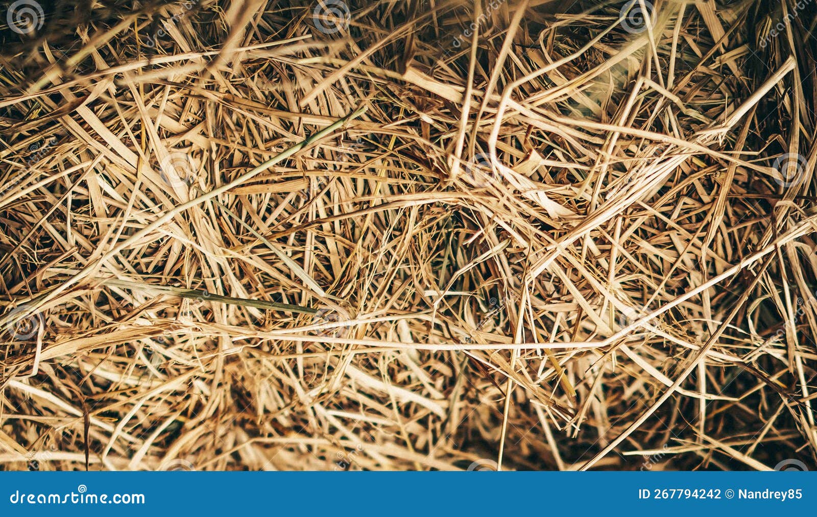Tangled Gold Chain Close Up. Textured Metallic Background Stock Image ...