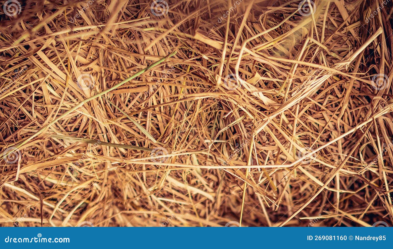 Hay Close Up Bale Background Wallpaper Macro Stack Beige Tangled Straw ...