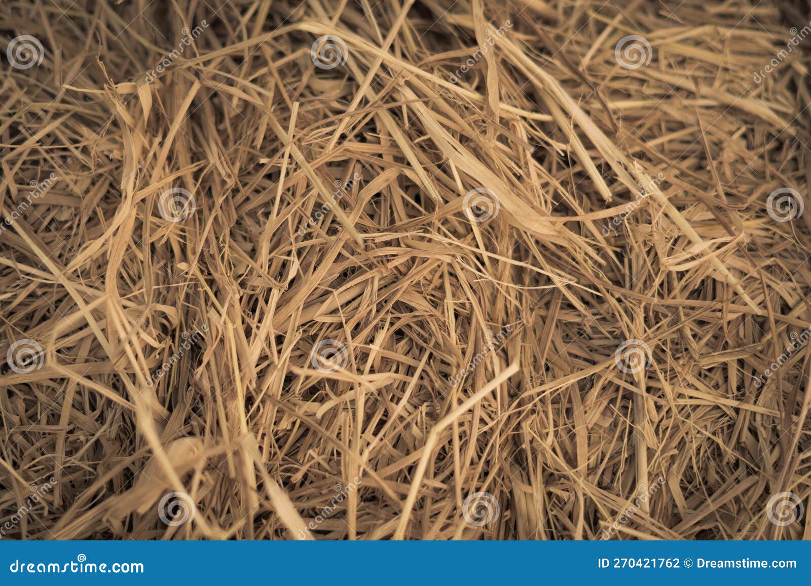 Hay Close Up Bale Background Wallpaper Macro Stack Beige Tangled Straw ...