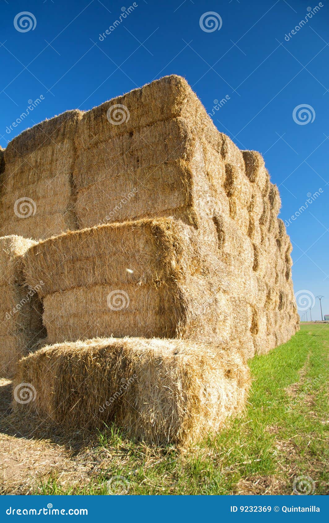 Hay at the country stock image. Image of nature, outdoor - 9232369