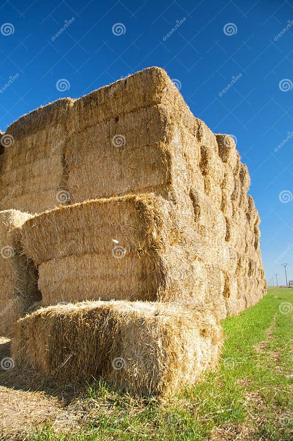 Hay at the country stock image. Image of nature, outdoor - 9232369