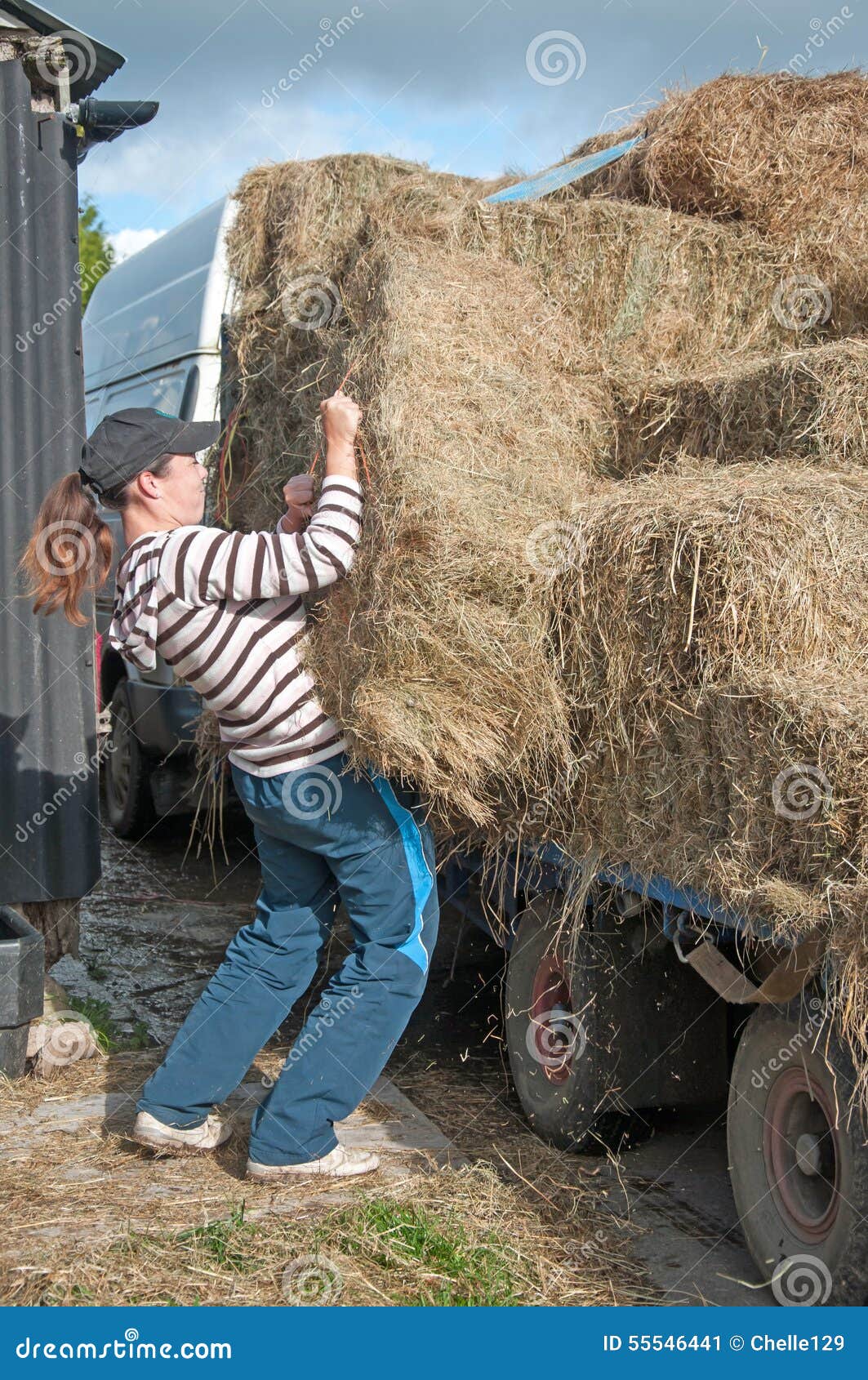 Hay delivery stock image. Image of stacked, transportation - 55546441
