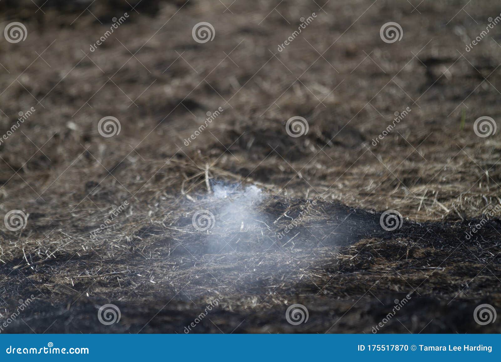 Smoking Grass Fire Dark Image for Background Stock Photo - Image of ...