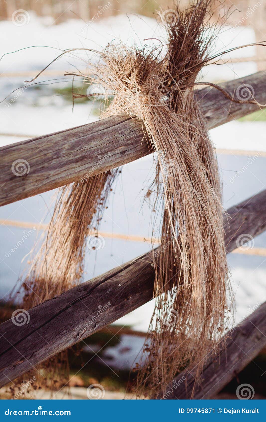 Hay drying stock image. Image of summer, farm, drying - 99745871