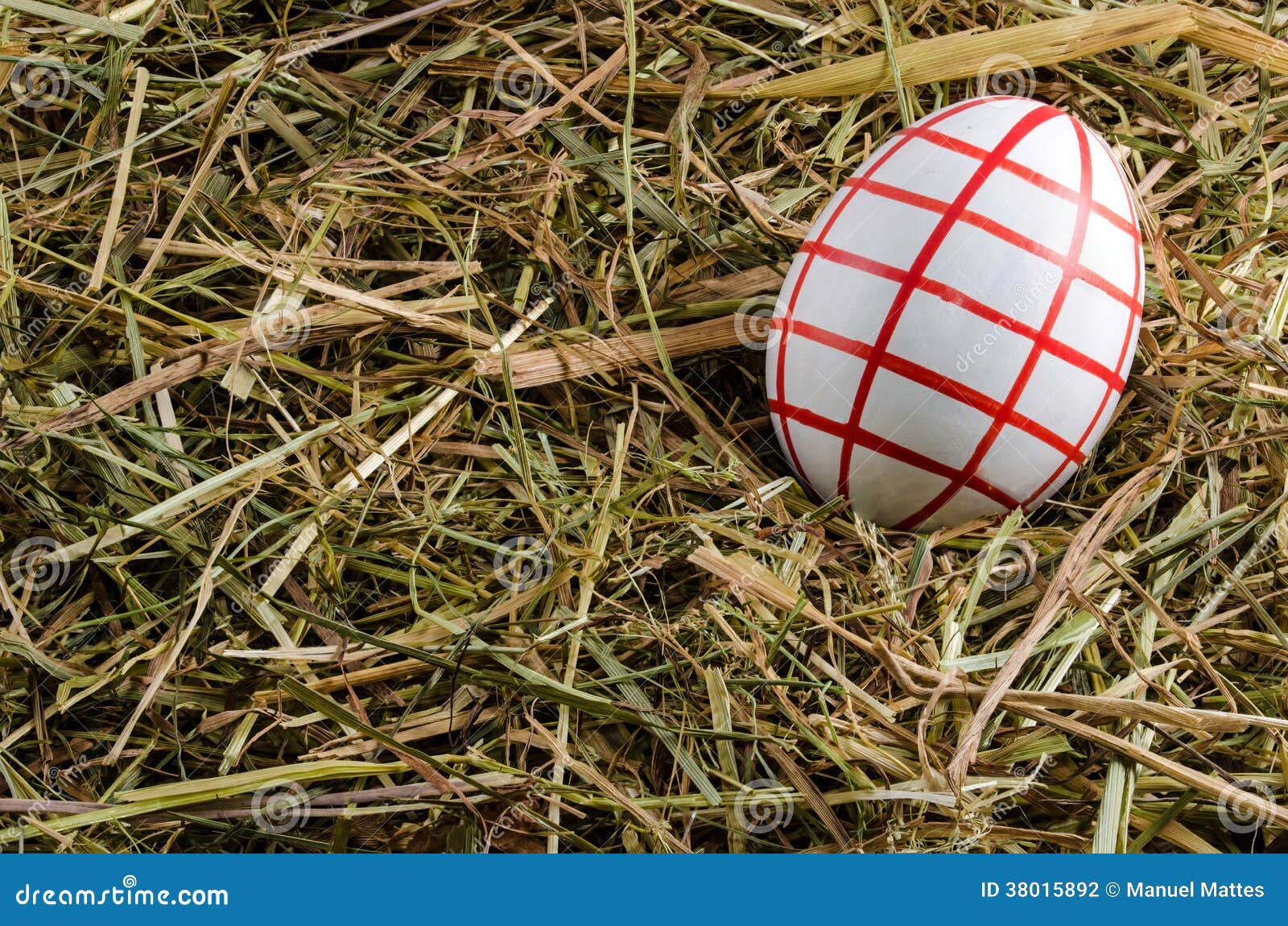 Hay and easter eggs stock photo. Image of farm, green - 38015892
