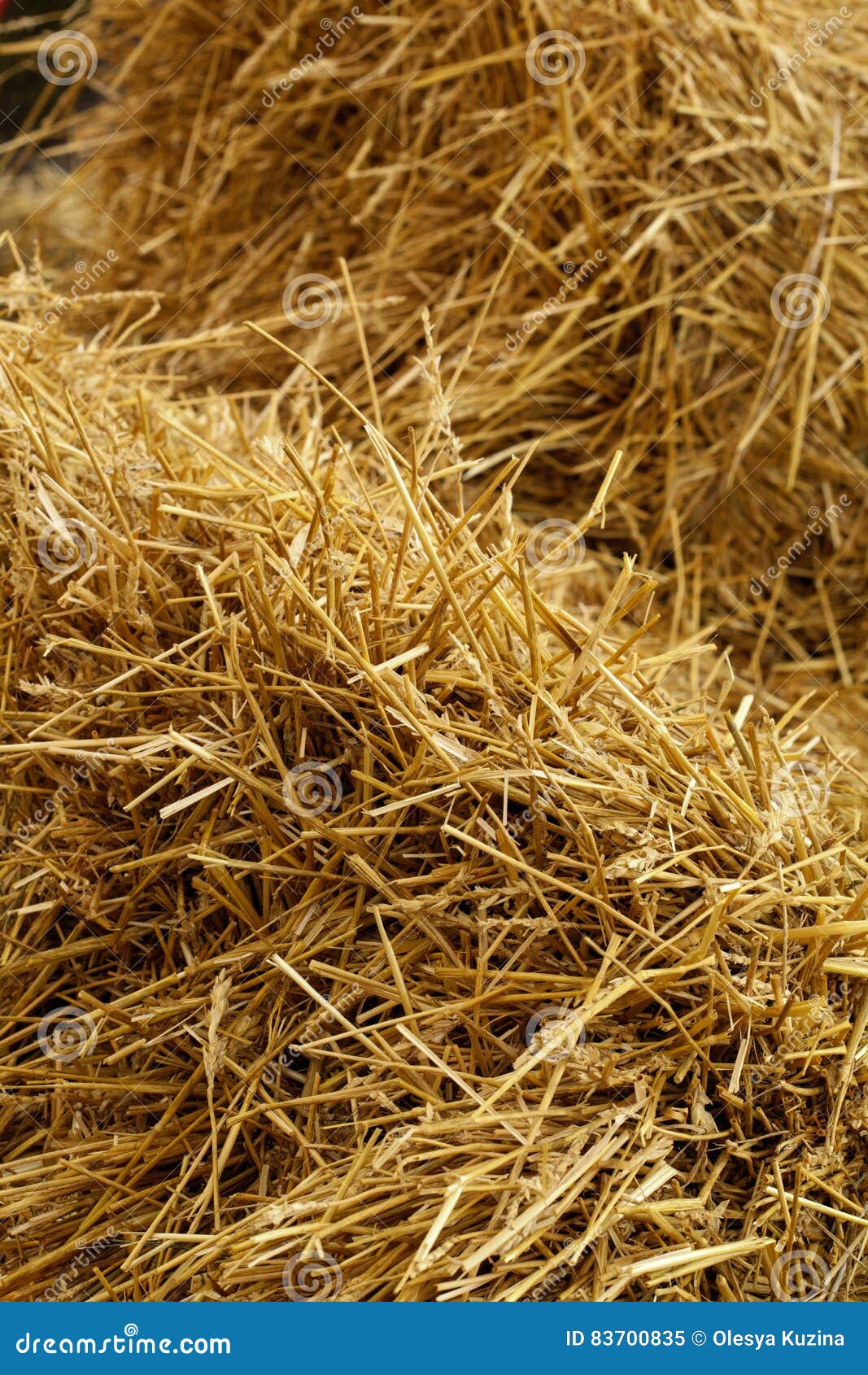 Hay on the entire frame stock image. Image of region - 83700835